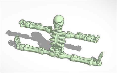 3d Design Skeleton Ig Tinkercad