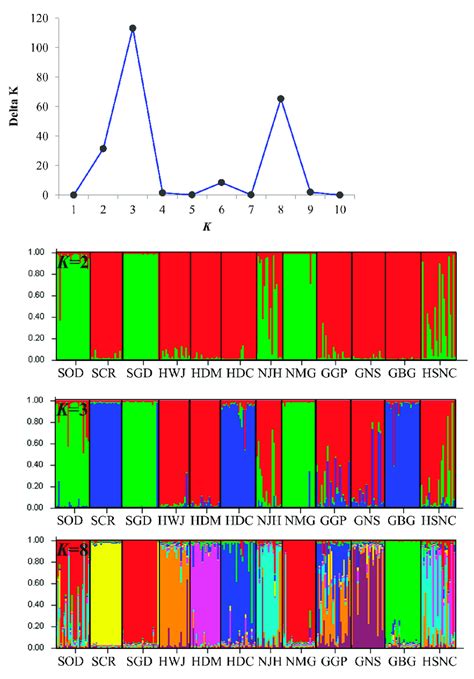 Population Genetic Structure Of O Interrupta Each Individual Is