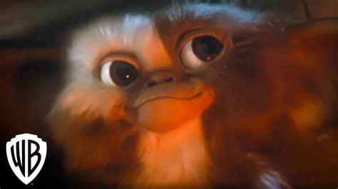 Gizmo Gremlins