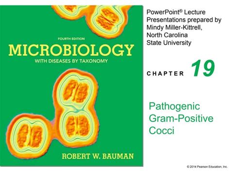 Gram Positive Cocci Ppt