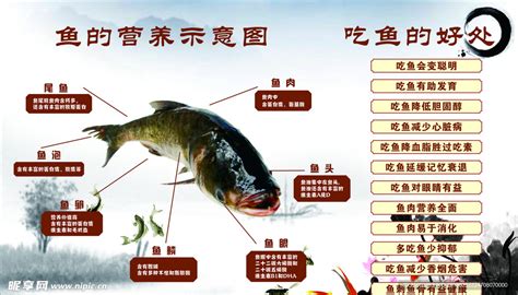 吃鱼的好处设计图海报设计广告设计设计图库昵图网