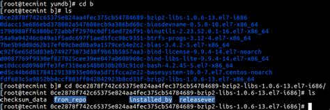 How To Fix Yum Error Database Disk Image Is Malformed