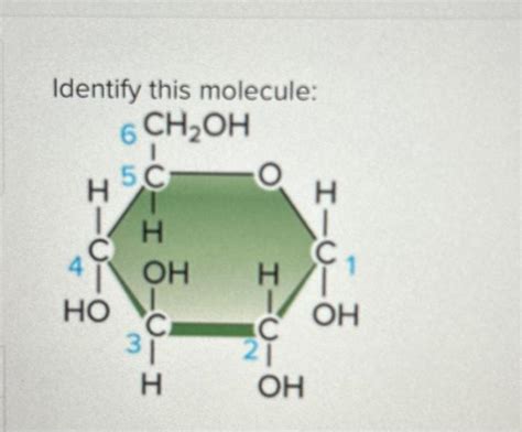 Solved Identify This Molecule Chegg