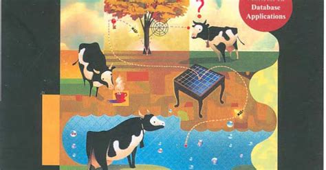 Database Management Systems 3rd Edition Mcgraw Hill By Raghu Ramakrishnan And Johannes Gehrke