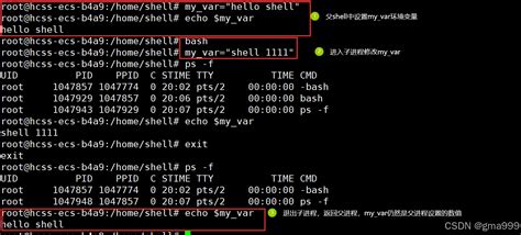 【shell编程】变量、运算符、条件判断、循环 是 Bash Shell 中用于变量赋值的一个条件运算符 Csdn博客
