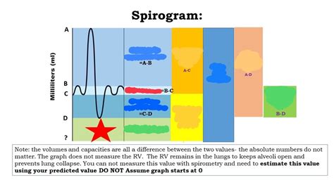 Spirogram Diagram Quizlet