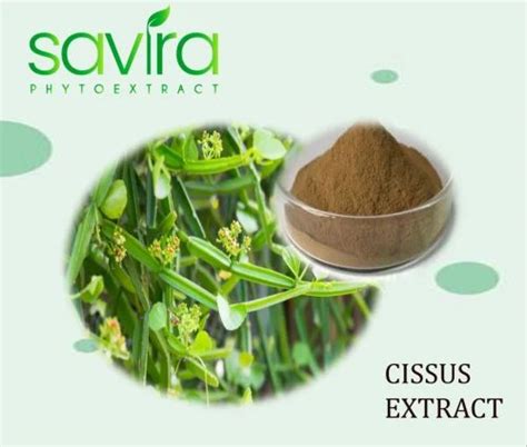 Cissus Quadrangularis Extract Powder At Rs 550 Kg In Ghaziabad Id 2854592613462