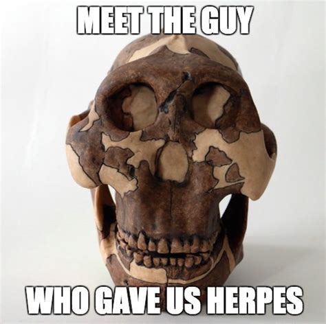 ScienceSeeker Science News Aggregator What Has Inter Species Sex Done To Us How Will Earth