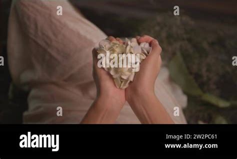 Go Shape Stock Videos And Footage Hd And 4k Video Clips Alamy