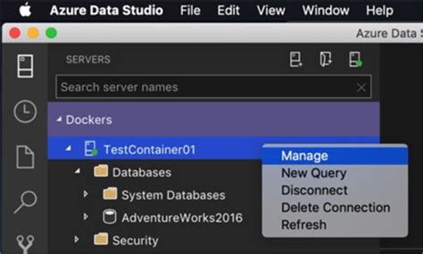 Create A Sql Server On Linux Container With Lines Of Code