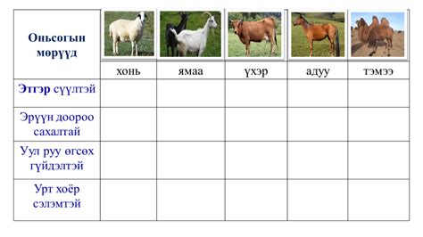 Мэдлээ Цахим контент