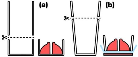 How To Make A Fleshlight Other Homemade Sex Toys For Men Tabooless