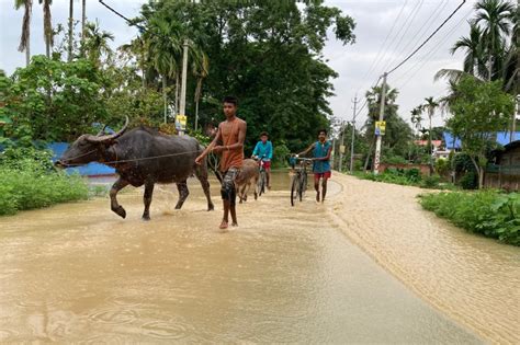 ‘he Never Returned Widespread Misery In Indias Flooded Assam