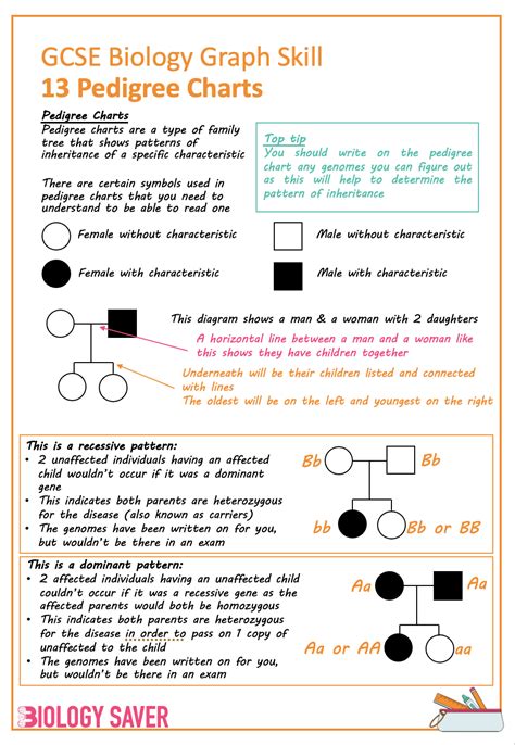 Biology Pedigree Charts Worksheet Pedigree Analysis