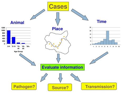 Ppt Principles Of Outbreak Invistigation Powerpoint Presentation Free Download Id 1408894