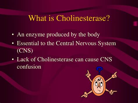 Ppt Cholinesterase Testing And Screening Powerpoint Presentation Free Download Id 457062