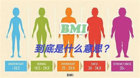 Bmi到底是什么意思？ 腾讯视频
