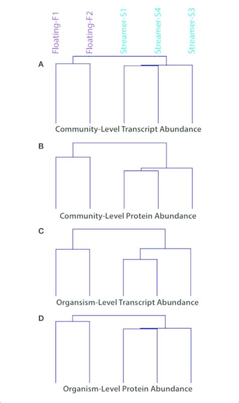Hierarchical Clustering Of Transcript And Protein Abundance Values
