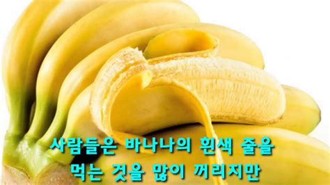 바나나를 먹을때 몰랐던 흰색 줄의 놀라운 정체 Youtube