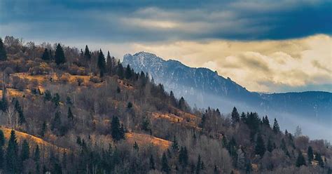 Before Spring © By Enache Armand Iustinian Photography Iasi Romaniasony A7riiitamron 28 200mm