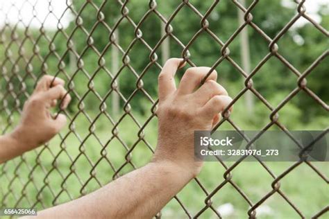 아니 자유 개념 탈출 또는 탈출 하려고 얼굴와 감옥에 있는 남자의 손에 흐려 0명에 대한 스톡 사진 및 기타 이미지 0명 고독 부정적인 감정 표현 고리 사슬 Istock