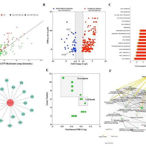 A Scatter Plot Of The Rna Seq Expression Data Showing Differentially