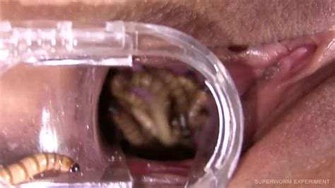 A Can Of Worms To Infest This Gorgeous Pussy