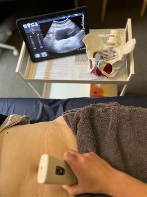 Real Time Ultrasound Inner Strength Bayside