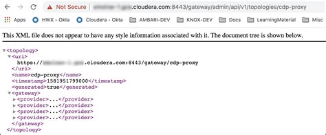 Disable Proxy For A Known Service In Apache Knox