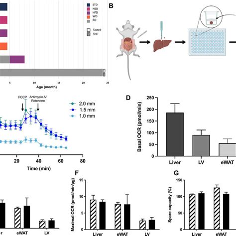 Experimental Setup And Reproducibility Assessment Comparative Baseline Download Scientific