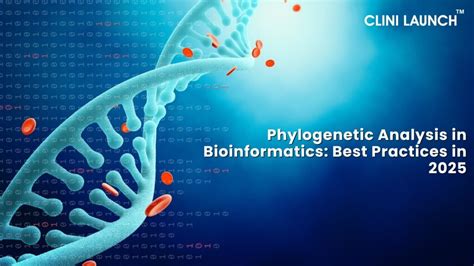 Phylogenetic Analysis In Bioinformatics Best Practices In 2025