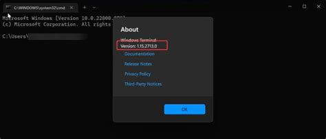 How Check Windows Terminal Version In Windows 1110 Technoresult
