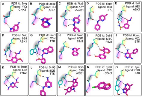 Binding Modes Between The Hinge And Ligands Gk1 Gk2 And Gk3