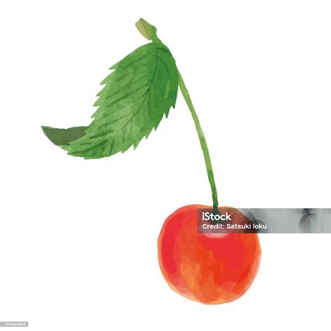 Ilustrasi Ceri Satu Ilustrasi Stok Unduh Gambar Sekarang Alam