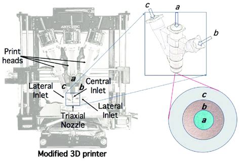 Three Dimensional 3d Bioprinter Setup For Bioprinting Experiments Download Scientific