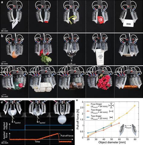 Versatility And Reconfigurability Of The Soft Gripper The Soft And Download Scientific Diagram