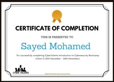 Cybertalent Sayed Mohamed