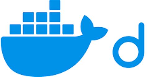 Running Apex In Docker Container