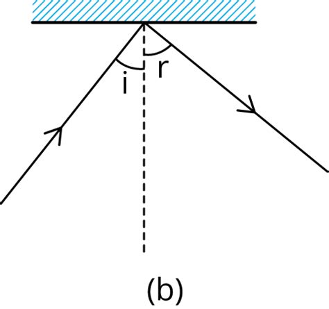 NCERT Exemplar XVII Task Science CBSE Class