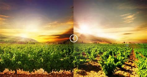 How Do I Put Two Pictures Side By Side In An Elementor Code Canel