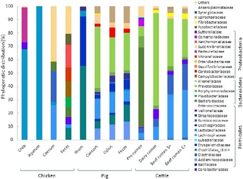 Phylogenetic Distribution Of Bacterial Families In Different Git Download Scientific Diagram