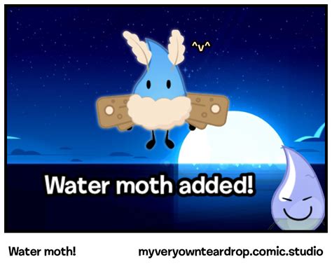 Water Moth Comic Studio