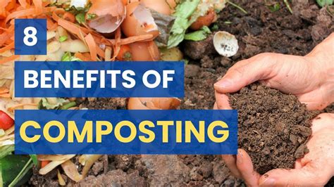 Why Is Composting Important For The Environment At Tasha Jennings Blog