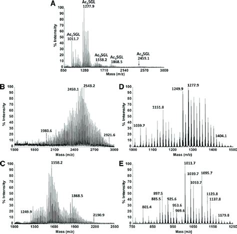 Sgls Of A Clinical M Tuberculosis Cas Isolate Maldi Tof Ms Spectra In