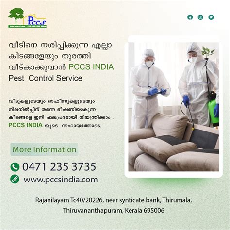 Fumigation An Effective Solution For Insect Control In Your Business