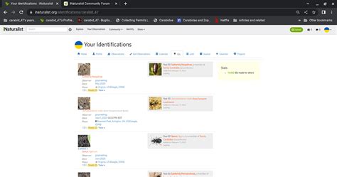Your Identifications Format Is Messed Up Bug Reports Inaturalist