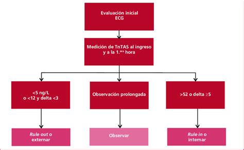 Estructura Del Algoritmo De La Sociedad Europea De Cardiología Con