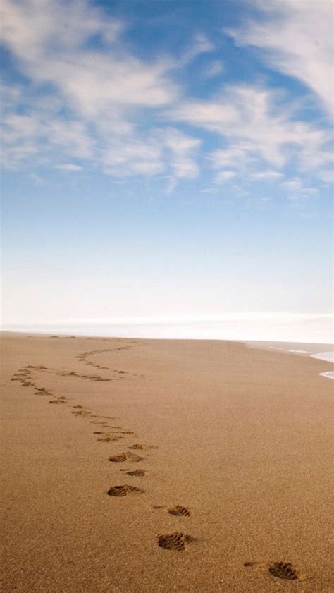 Footprints Wallpapers Close Up Of Footprints In Sand On A Beach