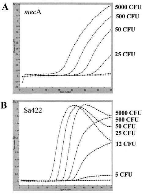 Rapid Identification Of Methicillin Resistant Staphylococcus Aureus And Simultaneous Species