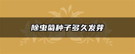 除虫菊种子多久发芽 蓝妖花园
